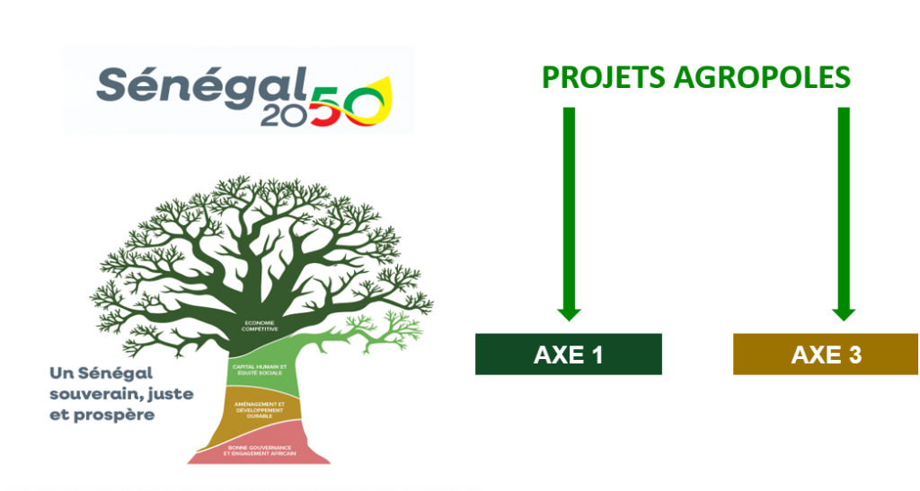 Projets Agropoles – PROGRAMME NATIONAL DE DÉVELOPPEMENT DES AGROPOLES ...