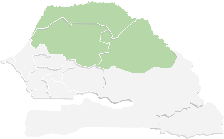 AGROPOLE DU SENEGAL – Projet des agropoles du Sénégal