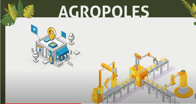 Galerie – AGROPOLE DU SENEGAL